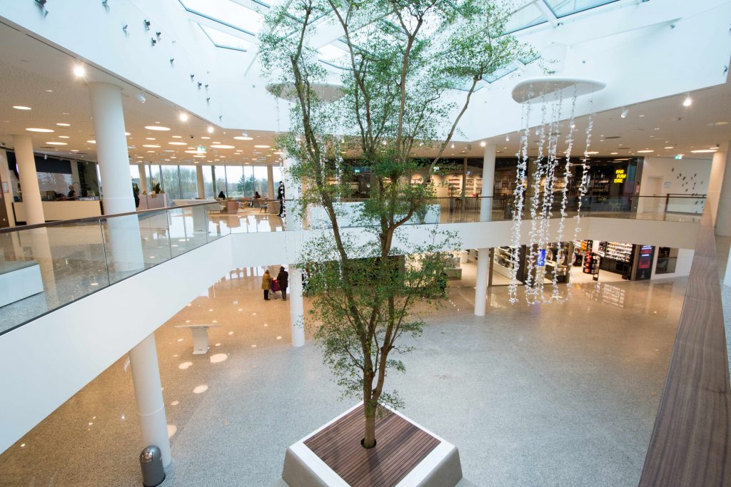 Accueil - City Concorde Lifestyle Center