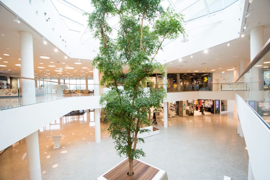 Accueil - City Concorde Lifestyle Center